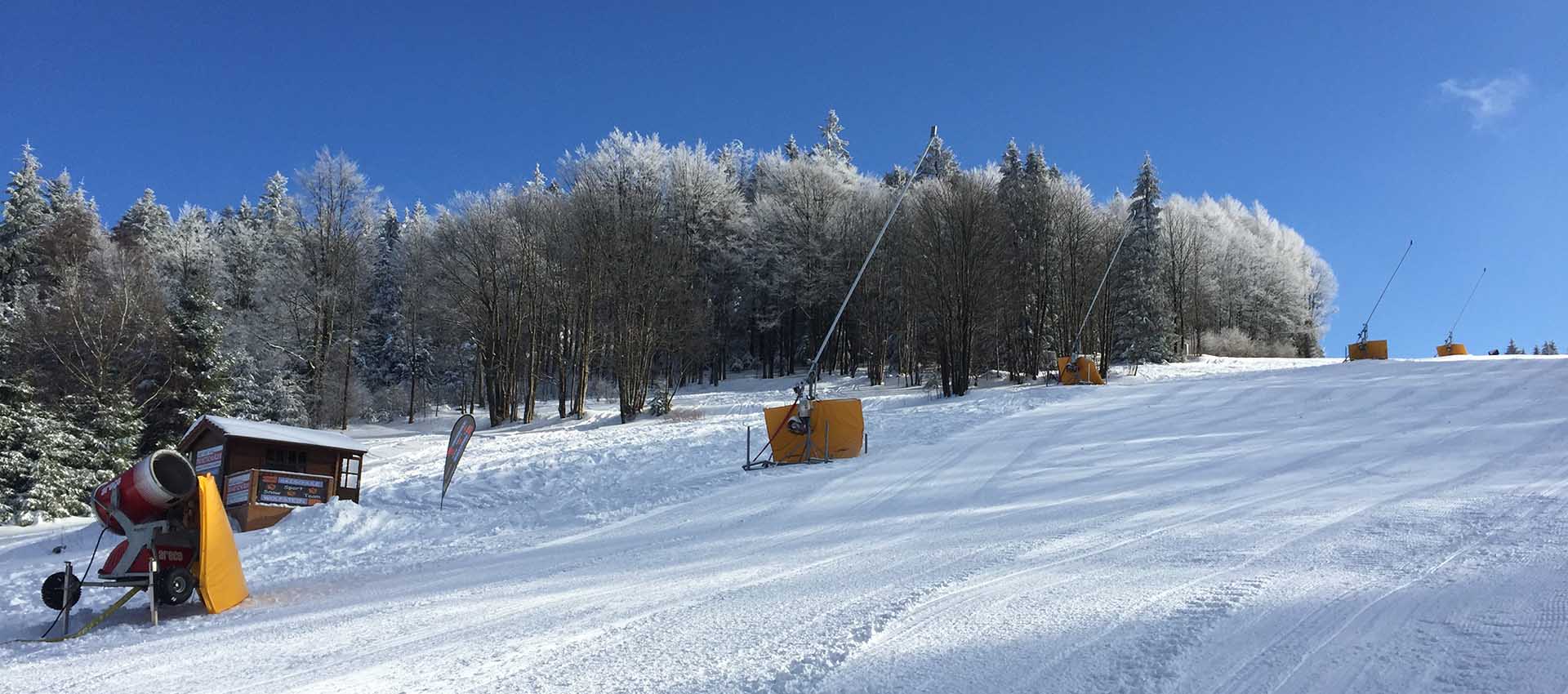 Walter Heininger GmbH in Schöfweg - Startseite